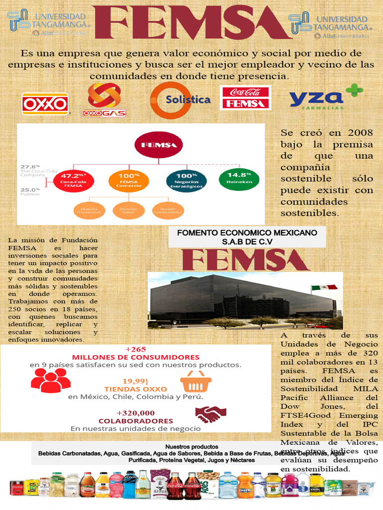 Cartel Femsa | PDF | Economias