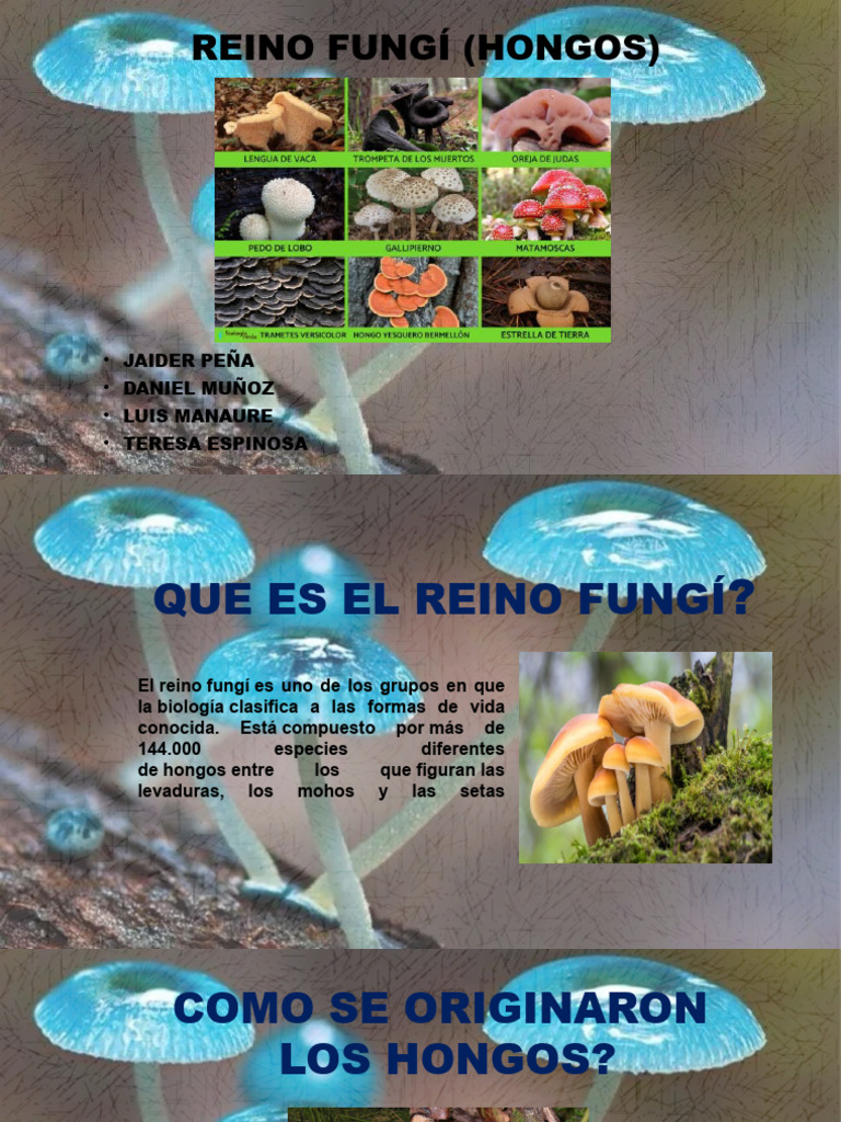 Reino Hongo | PDF