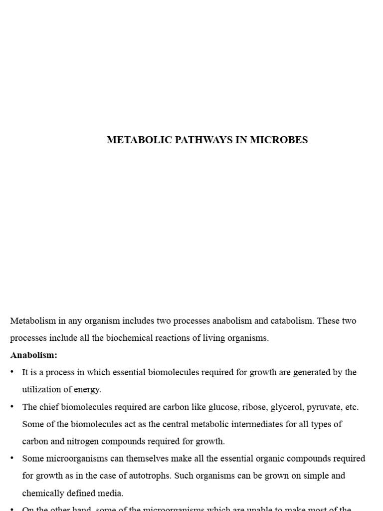 2238 Unit 4 Microbial Metabolic Pathways Pdf Nicotinamide Adenine