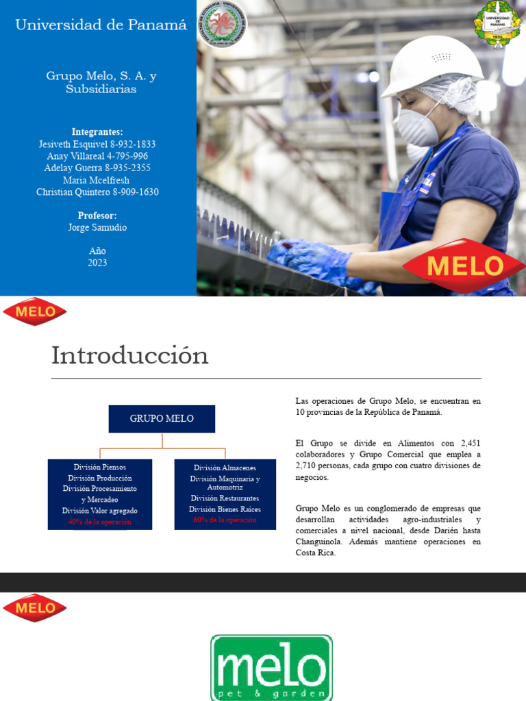 Grupo Melo | PDF | Business | Sustentabilidad