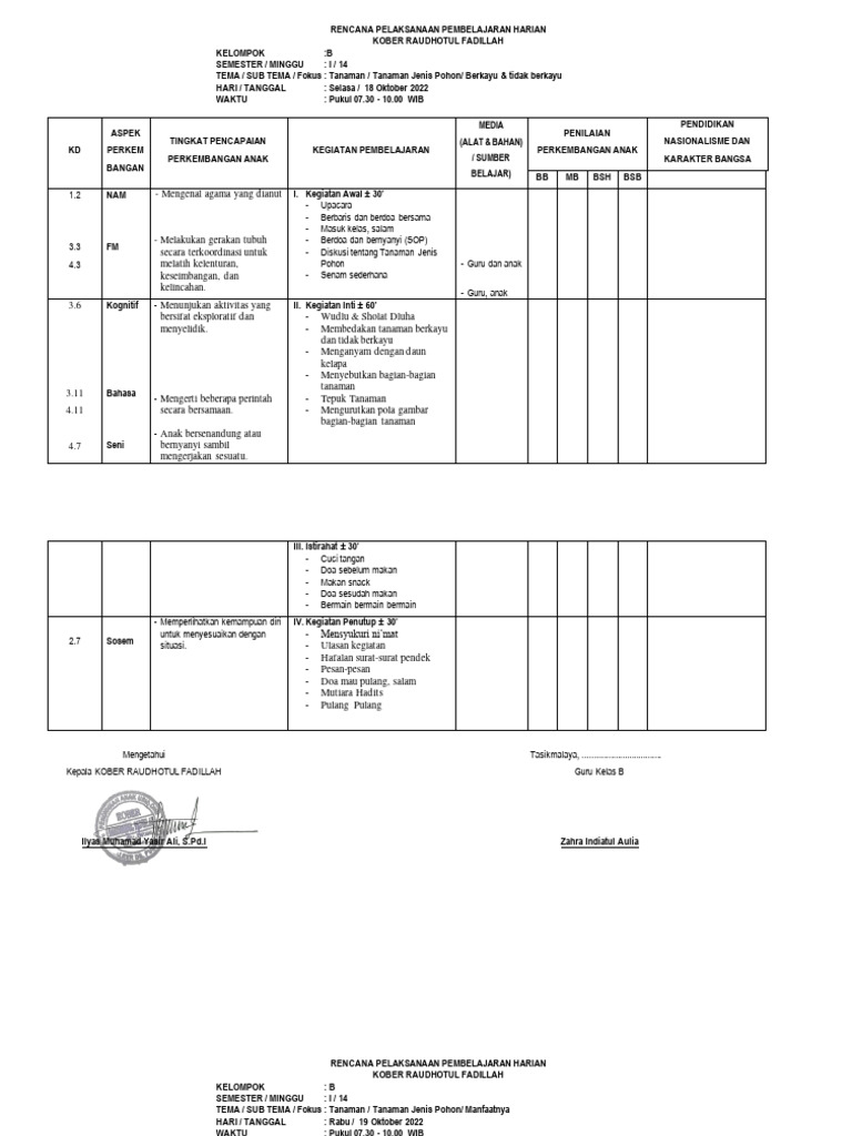 RPPH - Tanaman PAUD TK | PDF