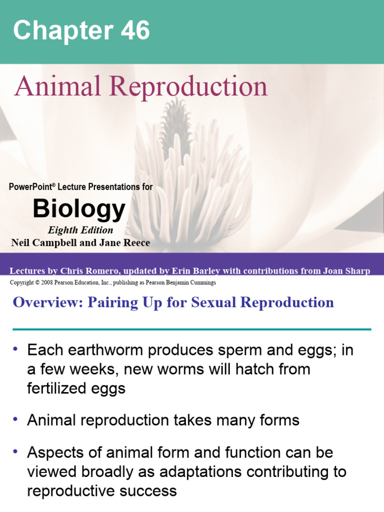 Animal Reproduction | PDF | Menstrual Cycle | Luteinizing Hormone