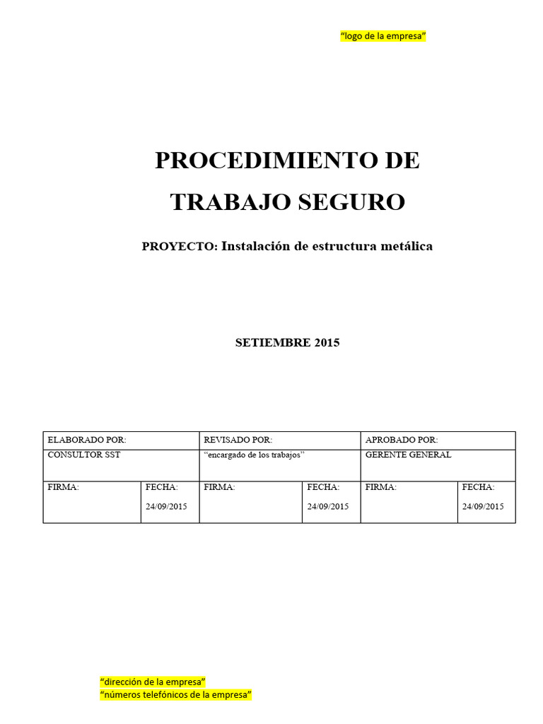Modelo Procedimiento de Trabajo Seguro | PDF | Business