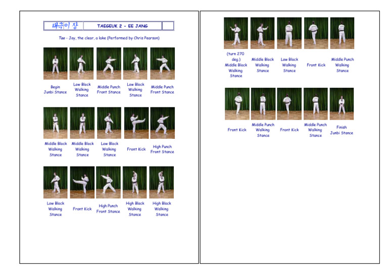 Taegeuk2 e | PDF