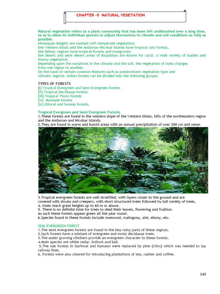 Overview of Indian Forest Types | PDF | Forests | Tropics