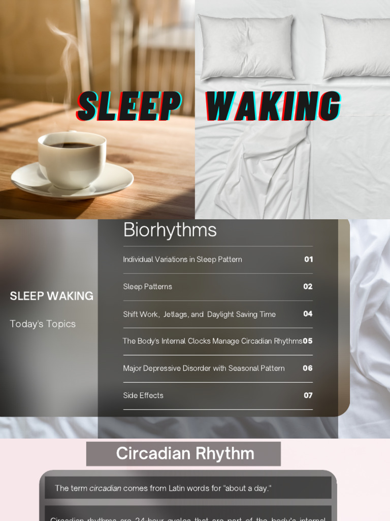 Sleep and Waking | PDF | Sleep | Circadian Rhythm