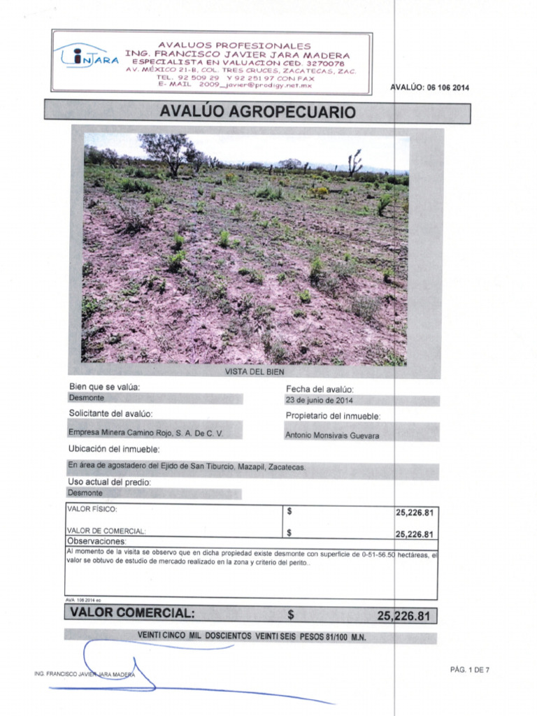 Modelo Avaluo Agropecuario | PDF