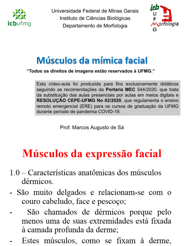 Músculos da Mímica Facial | PDF | Rosto | Anatomia