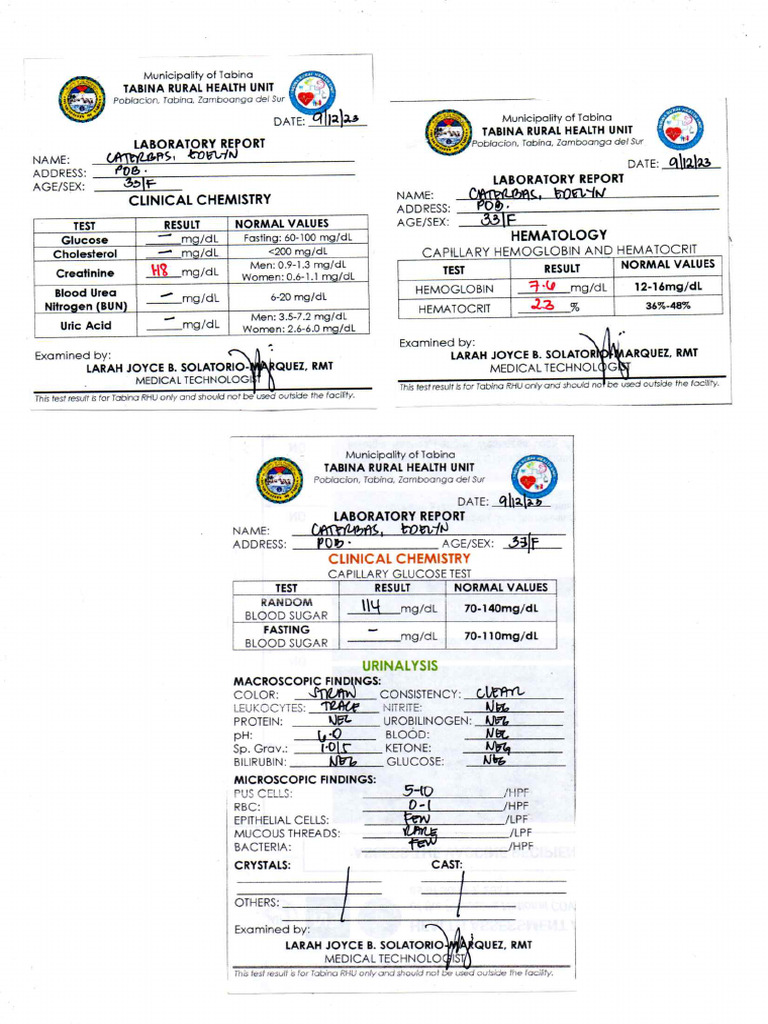 Edelyn's Lab Result | PDF