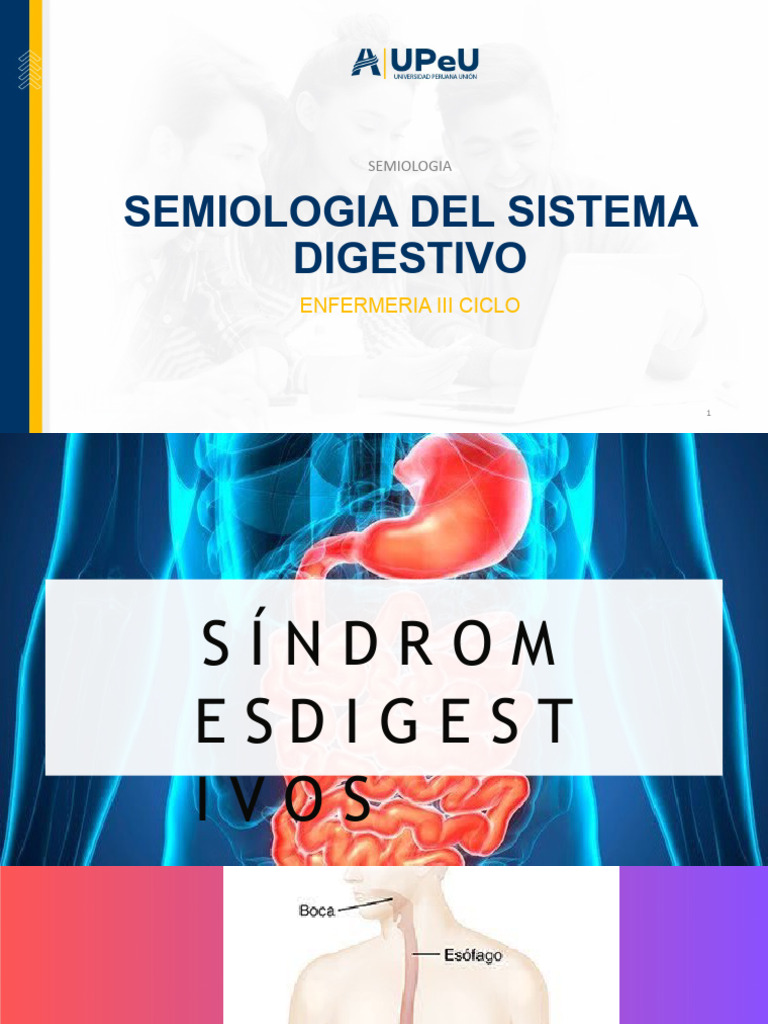Semiologia Del Sistema Digestivo | PDF | La enfermedad por reflujo gastroesofágico | Estómago