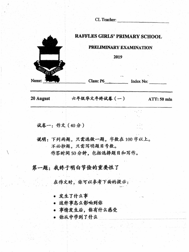 P6 Chinese SA2 2019 Raffles Exam Papers | PDF