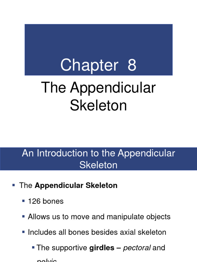 Appendicular Skeleton | PDF | Human Leg | Pelvis