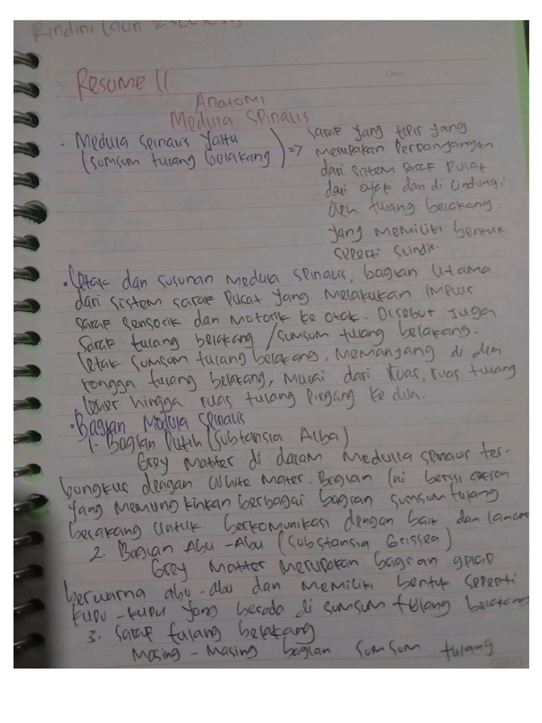 Resume 11 Anfis Rindini Lauri 23003059 | PDF