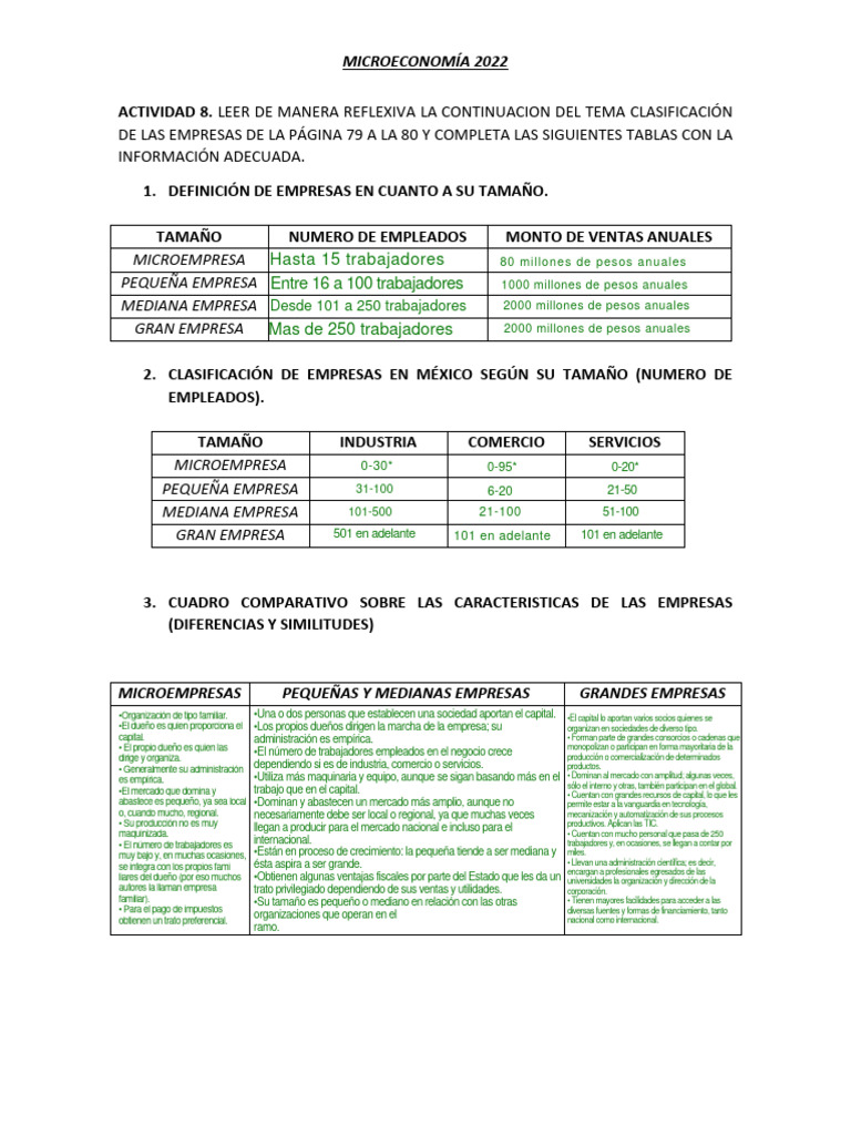 Actividad 8 Micro 1 | PDF | Pequeñas y medianas empresas | Business