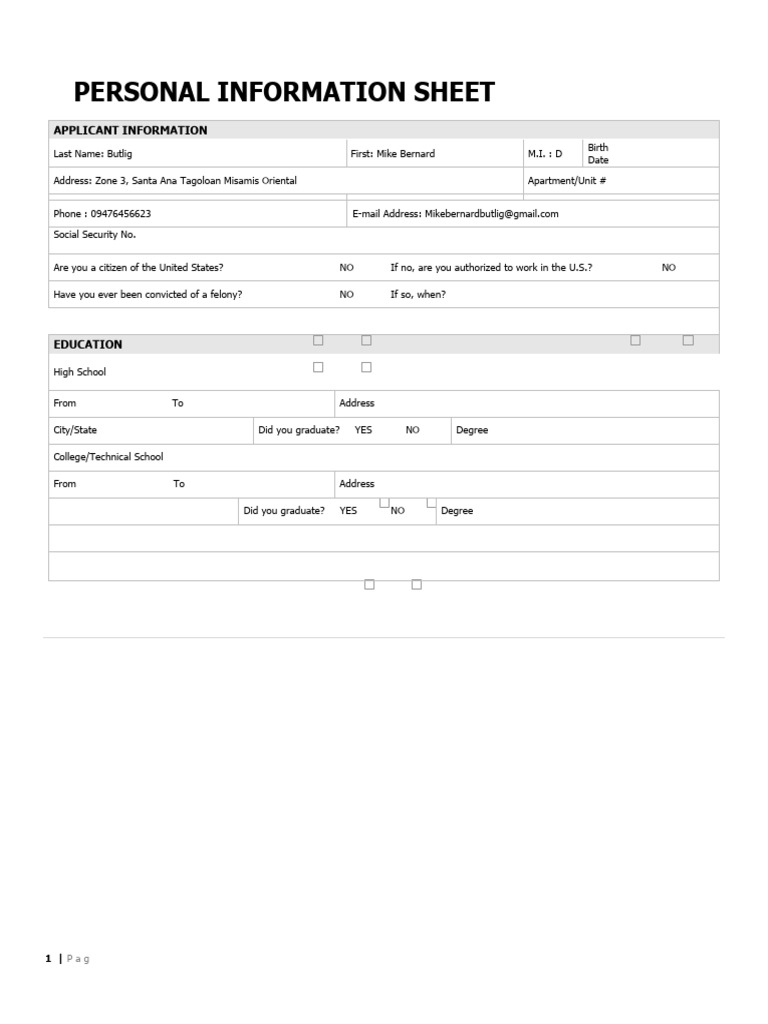 Personal Information Form 01 | PDF