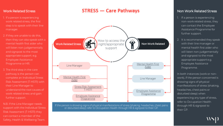 Stress Care Pathway V2.0 | PDF | Occupational Stress | Stress (Biology)