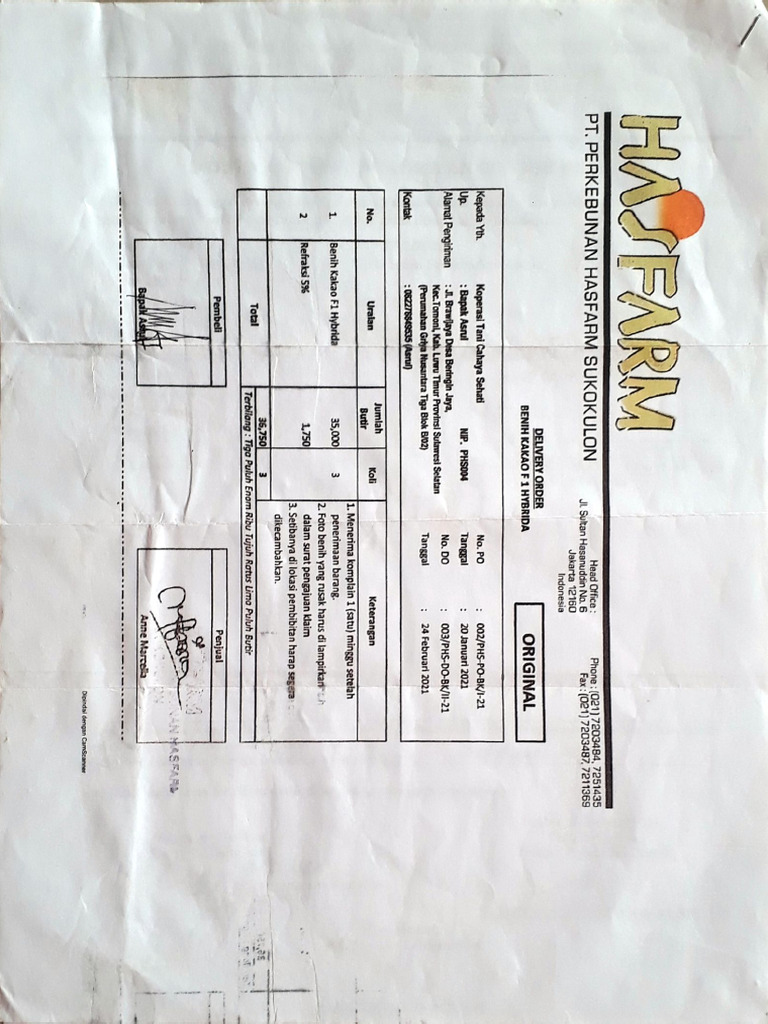 Benih Kakao KCS 2021 | PDF