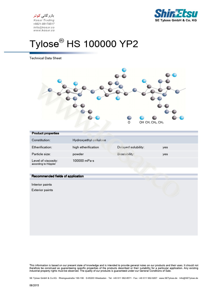 Tylpse Shinetsu HS 100000 YP2 | PDF | Paint | Viscosity