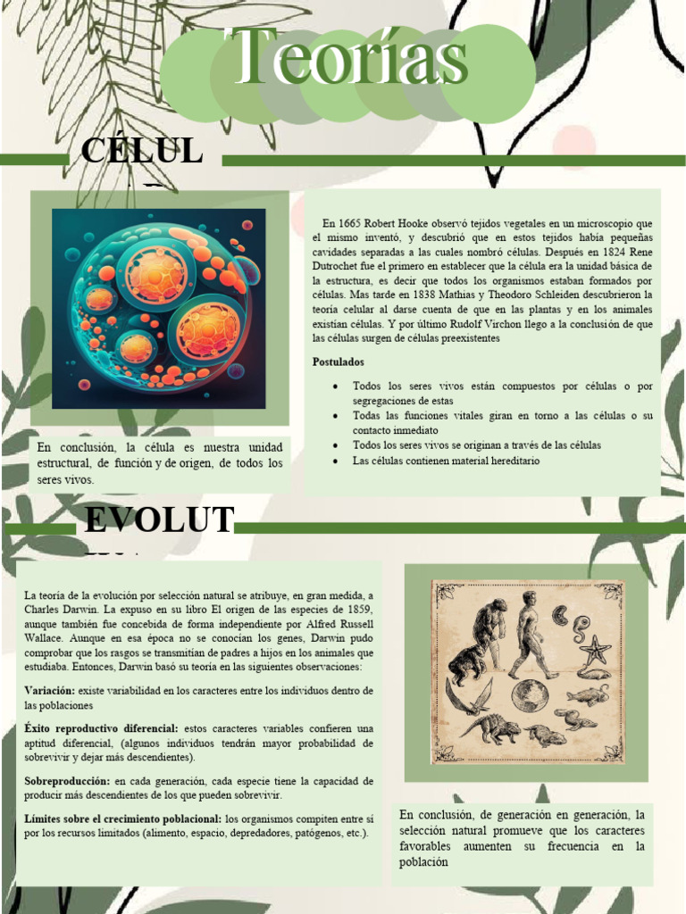 Teorias | PDF | Dominancia (Genética) | Herencia