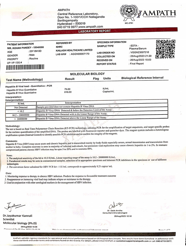 Hepatitis B Virus DNA Report | PDF
