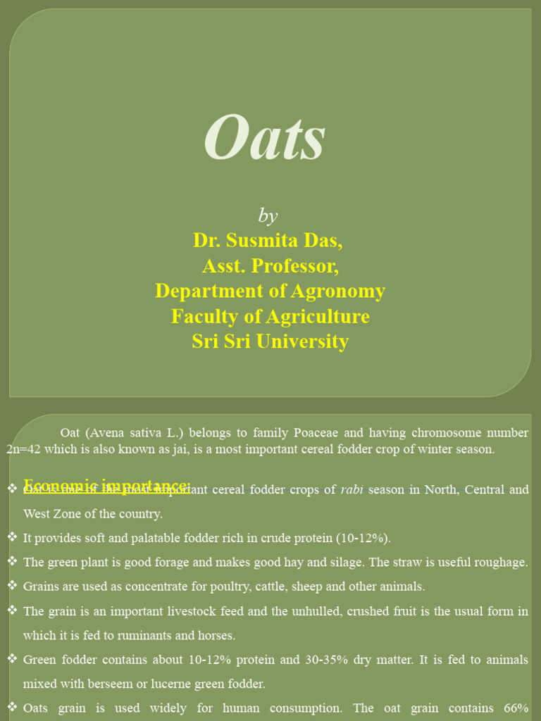 Oats | PDF | Oat | Sowing
