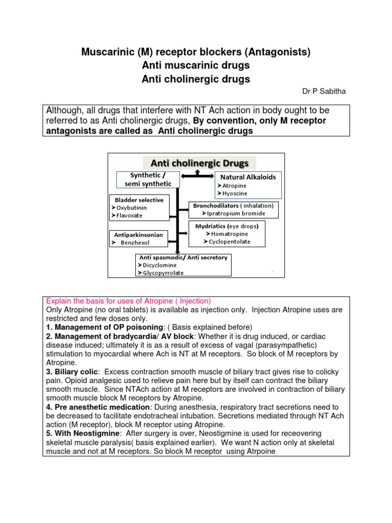 Anticholinergic Drugs | Acetylcholine | Drugs