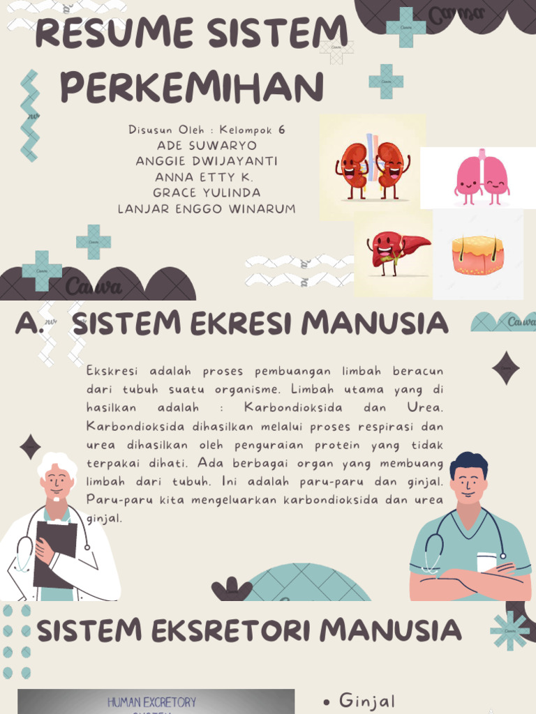 Resume Sistem Perkemihan | PDF