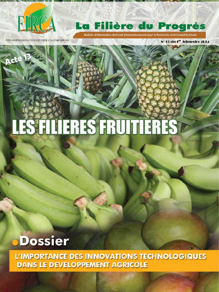 FIRCA LaFiliereDuProgres13 | PDF | Banane | Côte d'Ivoire
