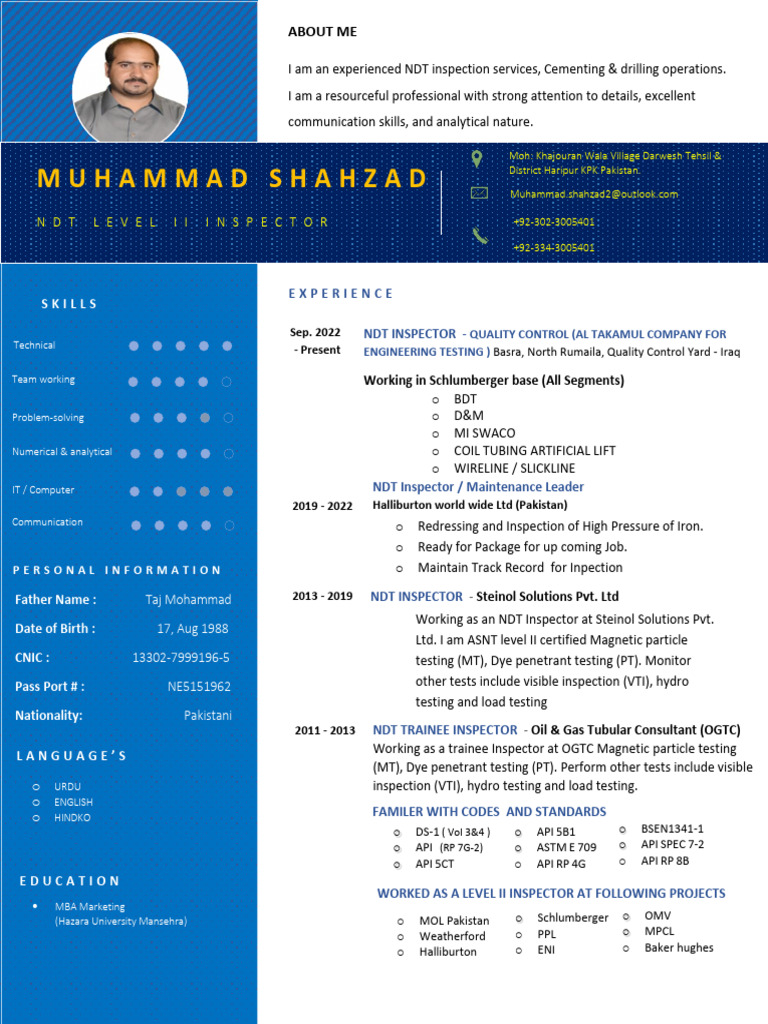 NDT Inspector Resume | PDF | Nondestructive Testing | Mechanical ...