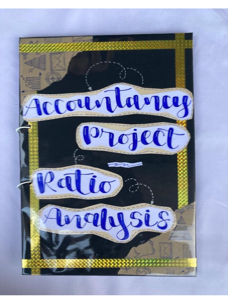 Accountancy Project File For Class 12th | PDF