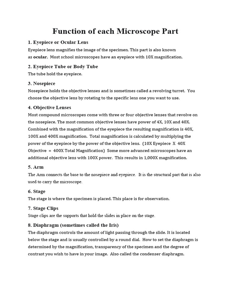 Microscope | PDF | Physical Sciences | Optics