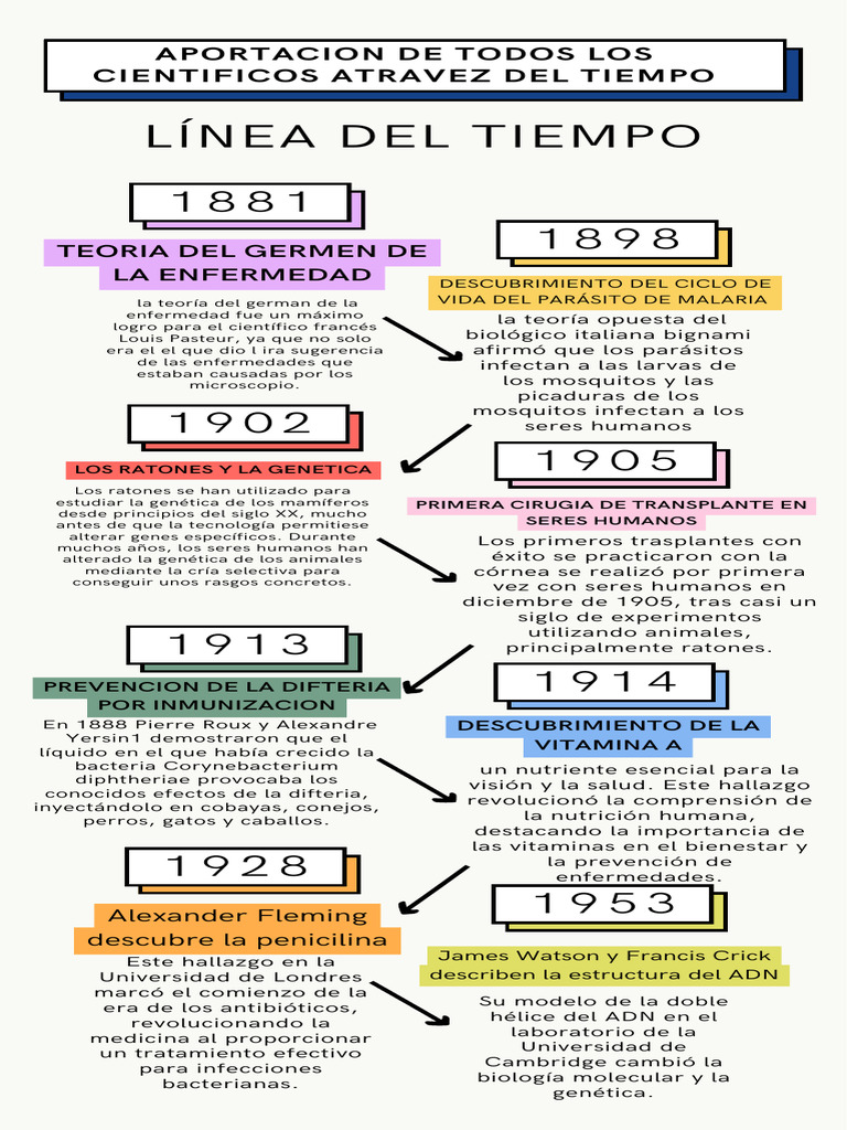 Infografía Línea Del Tiempo Timeline Historia Moderno Creativo Doodle Scrapbook Profesional ...