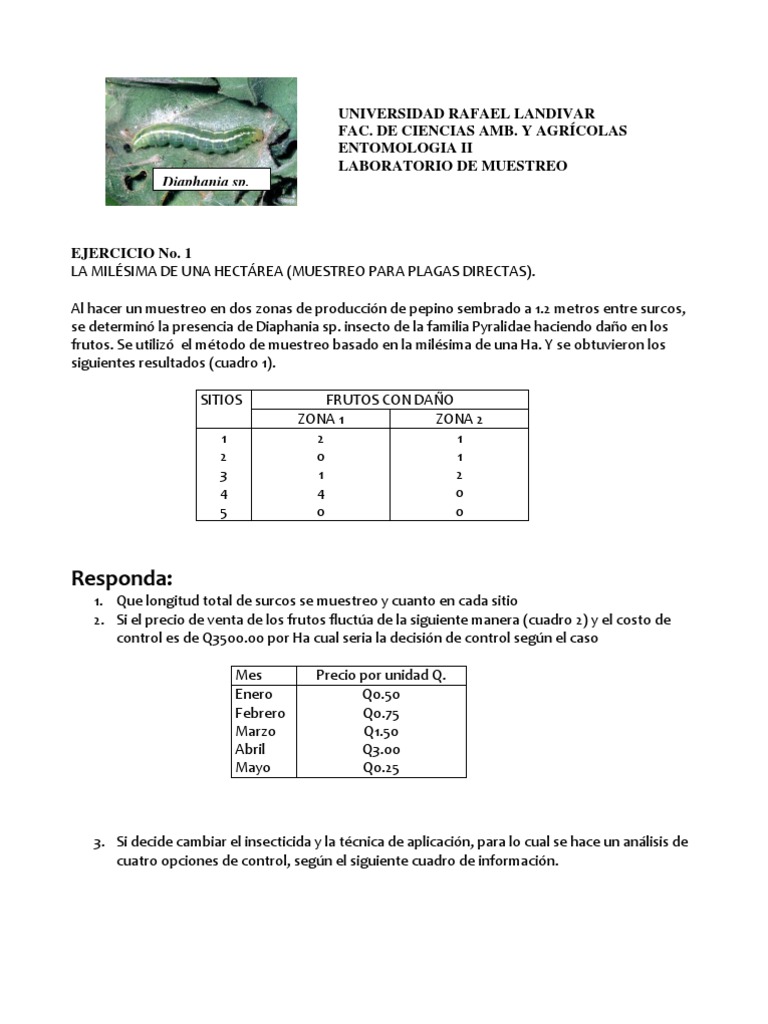 La Milesima de Una Hectarea