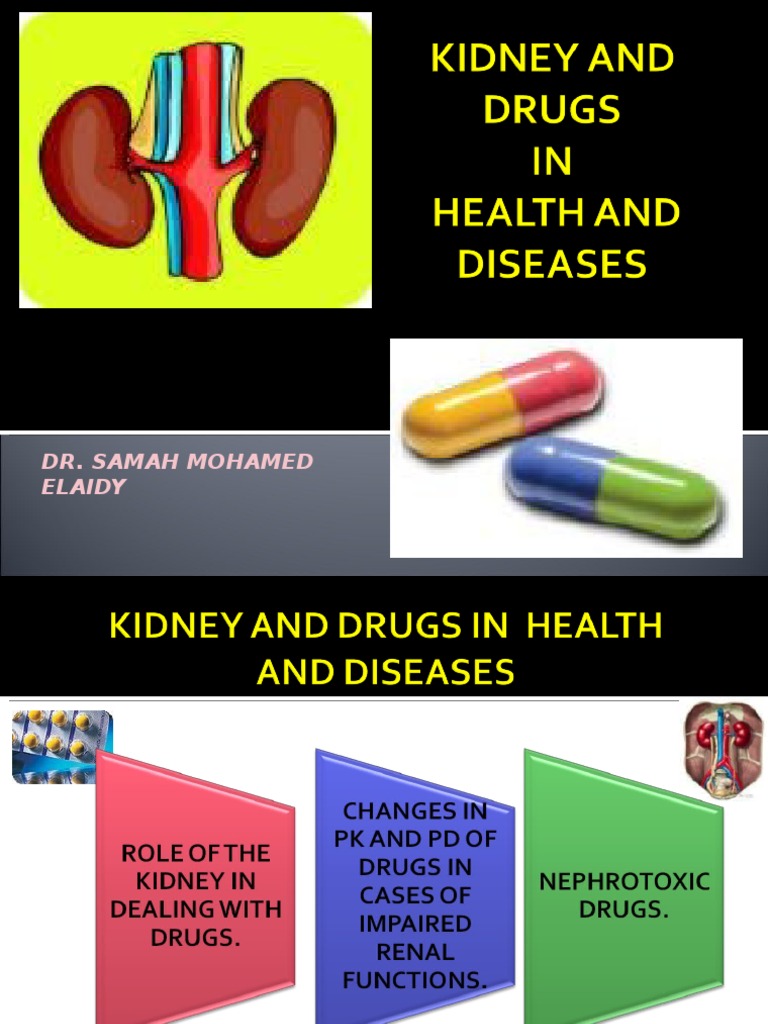 KIDNEY AND DRUGS | PDF | Kidney | Endocrine System
