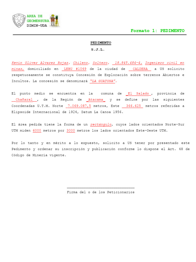 1 Pedimento | PDF | Viajes y turismo | Derecho