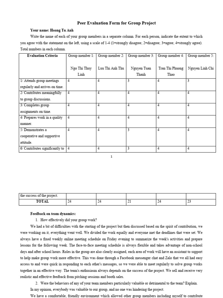 Peer Evaluation For Group Project | PDF | Thought | Experience