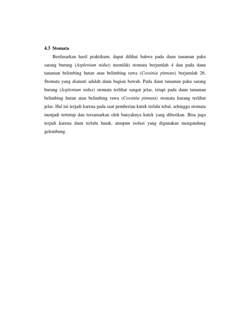 BAB IV (3) Syaif | PDF