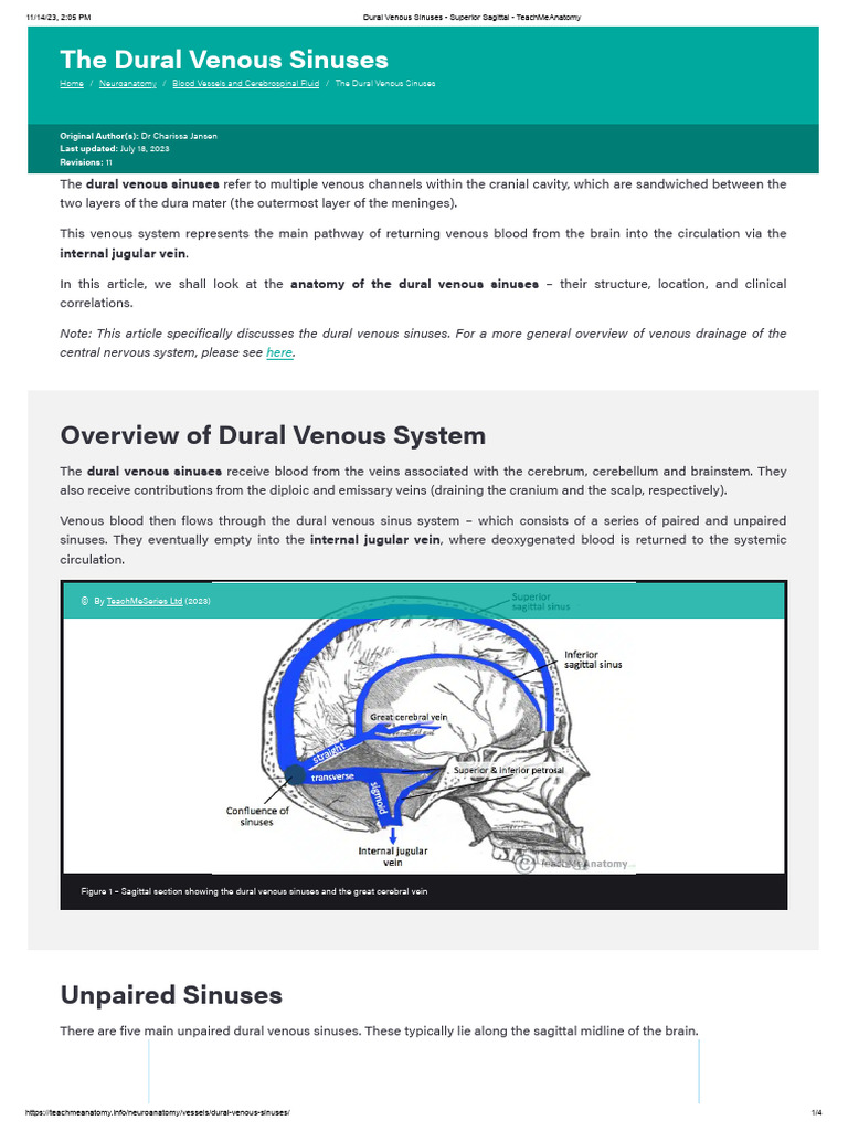 Dural Venous Sinuses - Superior Sagittal - TeachMeAnatomy | PDF | Vein ...