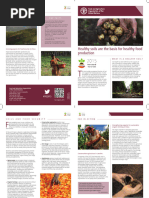 Fallowing: Boosting Soil Health | PDF | Crop Rotation | Agriculture