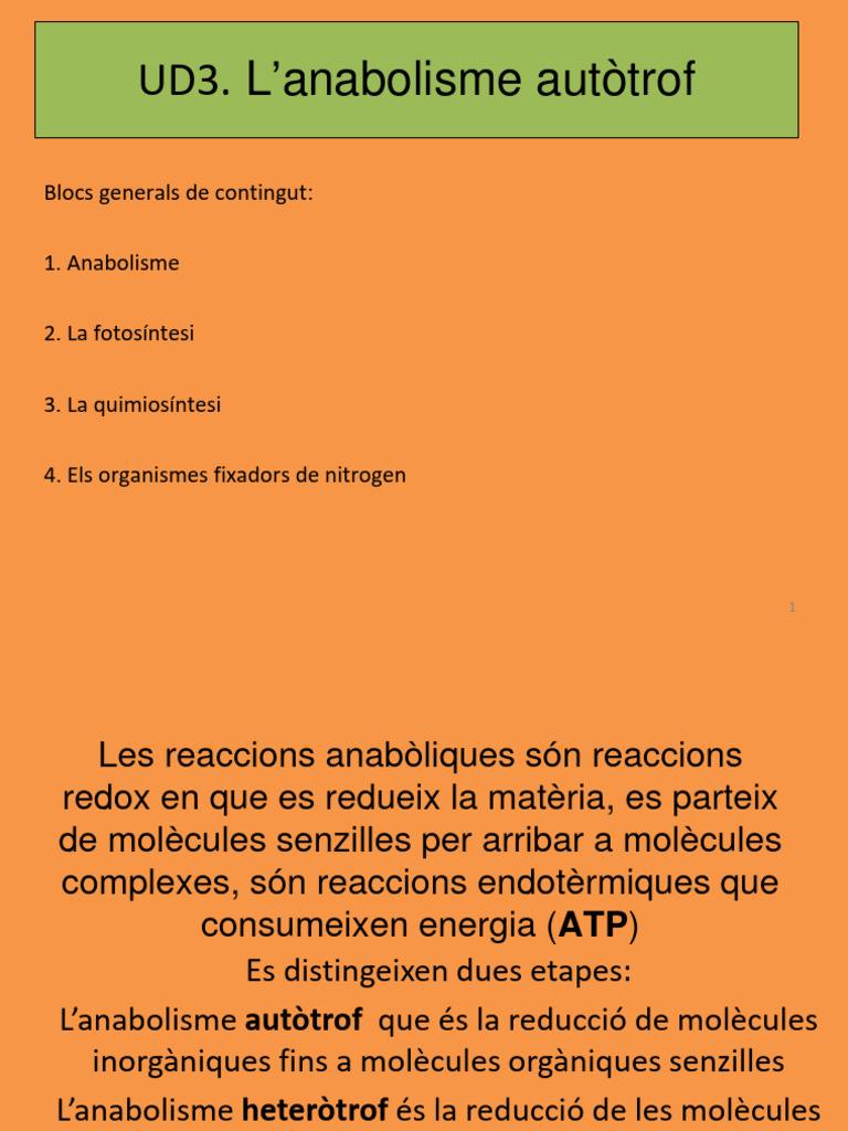UD3 ANABOLISME Plataforma | PDF