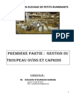 Cours sur l'Élevage Ovin et Caprin | PDF | Mouton | Chèvre
