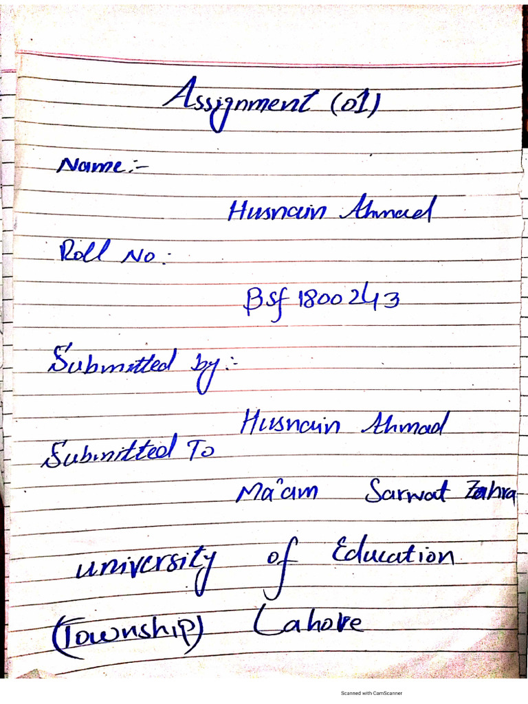 Assignment 01 (MMP) | PDF