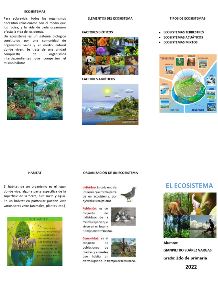 ECOSISTEMAS Tríptico GP | PDF