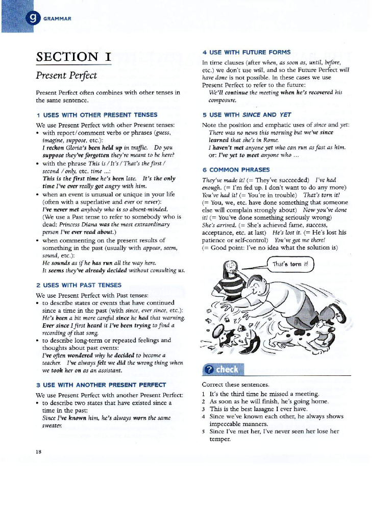 The Perfect Aspect | PDF