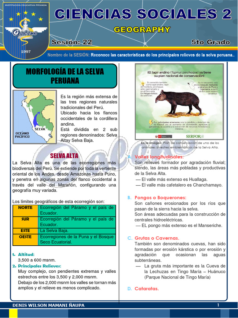GEOGRAFÍA - 5TO - Morfología de La SELVA Peruana (SESIÓN #22) - DENIS WILSON MAMANI ÑAUPA | PDF ...