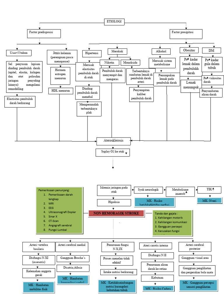 LP Pathway NHS 2 | PDF