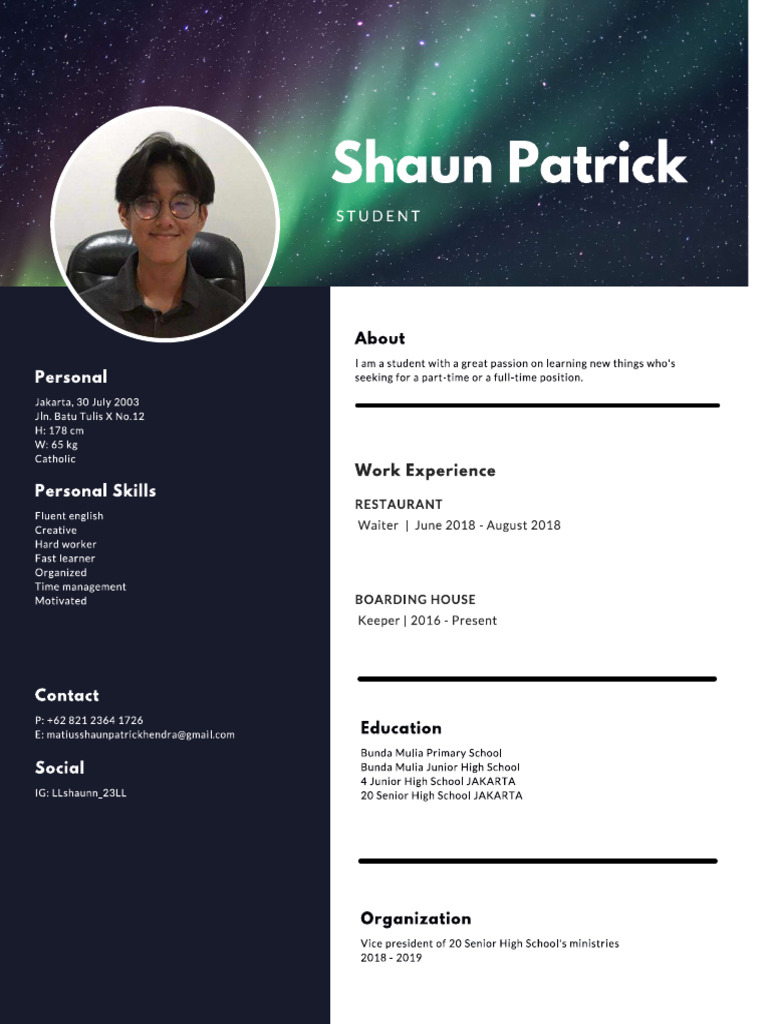 CV Shaun | PDF