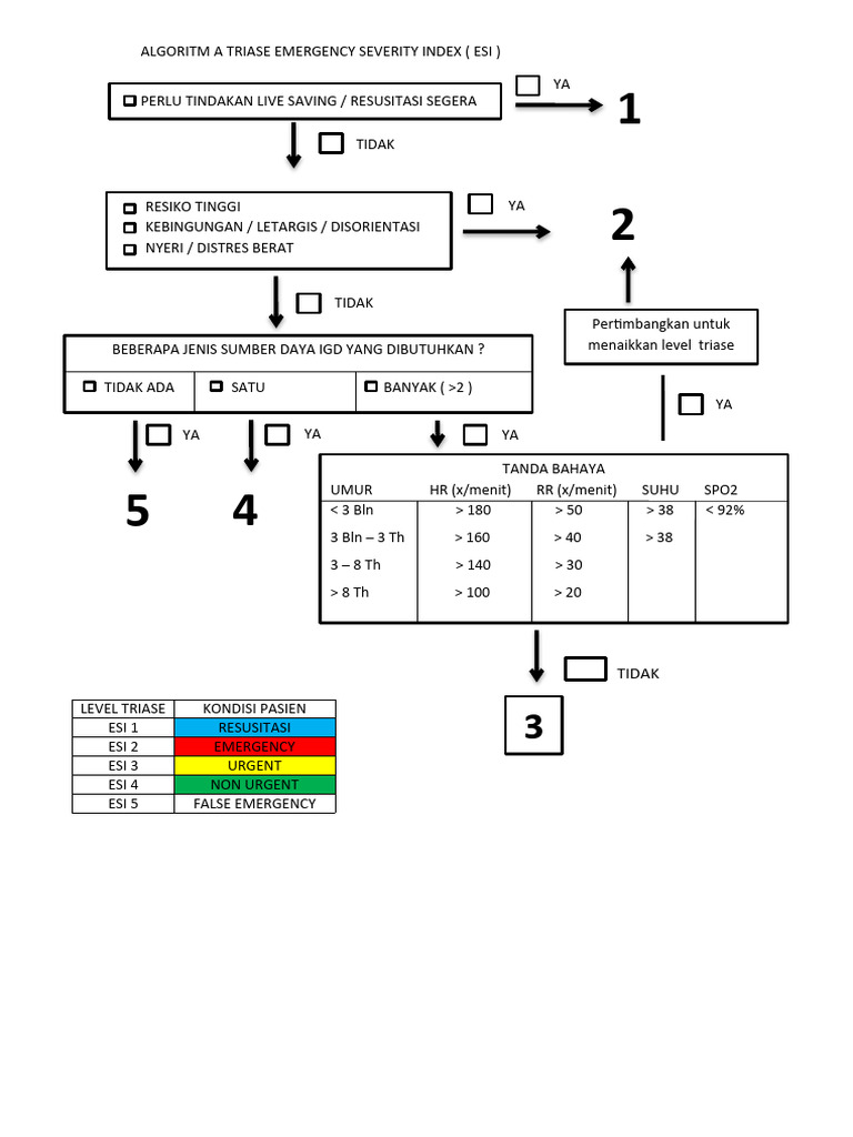 Panduan Triase ESI untuk IGD | PDF