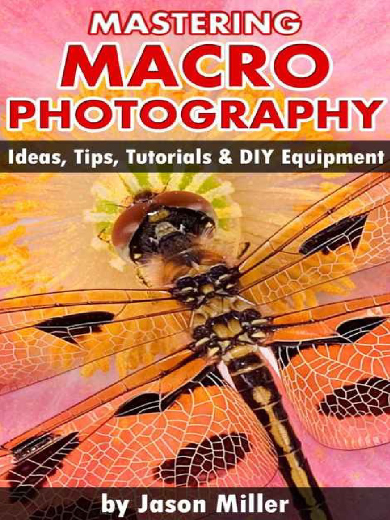Mastering Macro Photography - Ideas - Tips - Tutorials & DIY Equipment ...