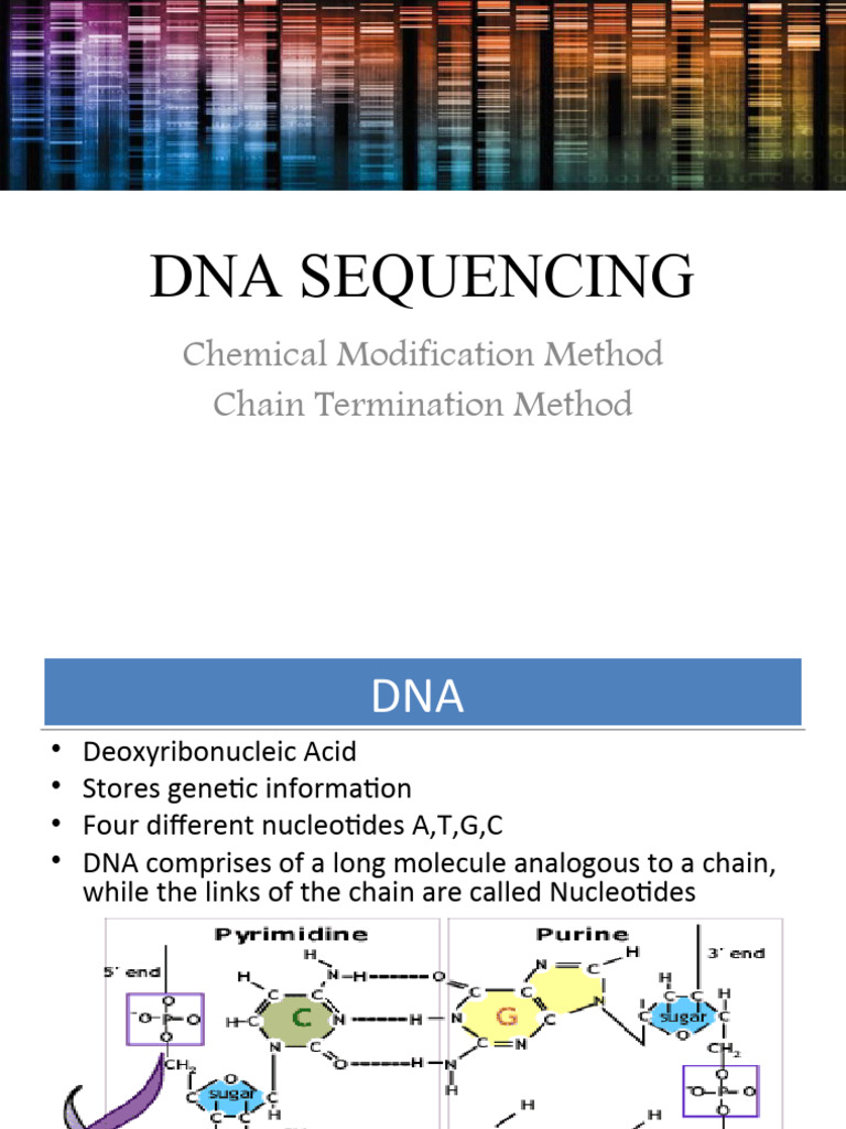 6.DNA Sequencing | Download Free PDF | Dna Sequencing | Dna